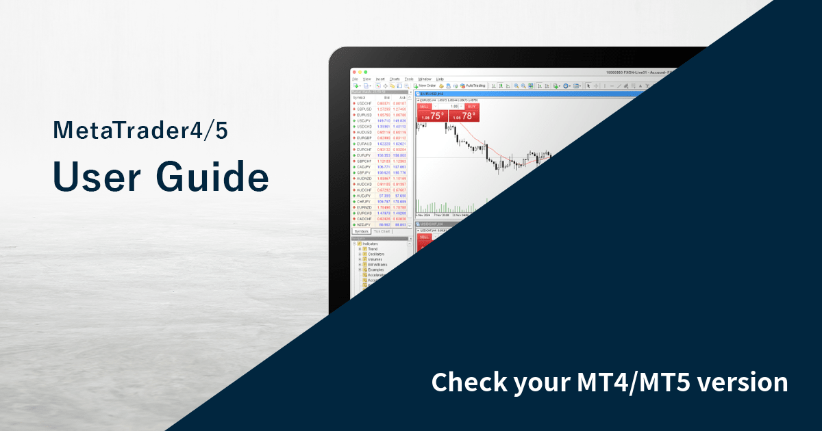 Check your MT4/MT5 version | FXON™